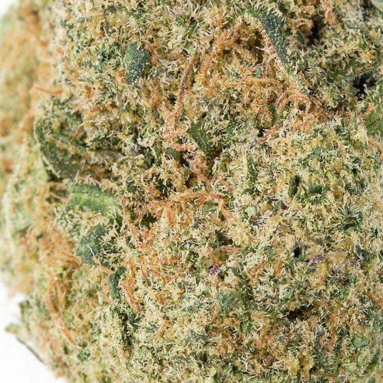 Fiori di CBD Silver Haze Premium | Acquista su Hispacbd